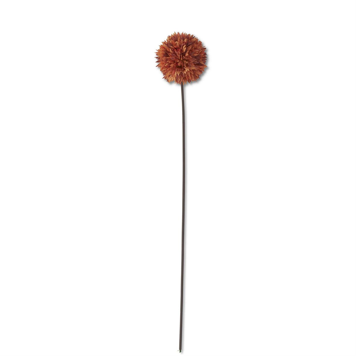 26 Inch Orange Allium Stem – Montana Rustic Accents