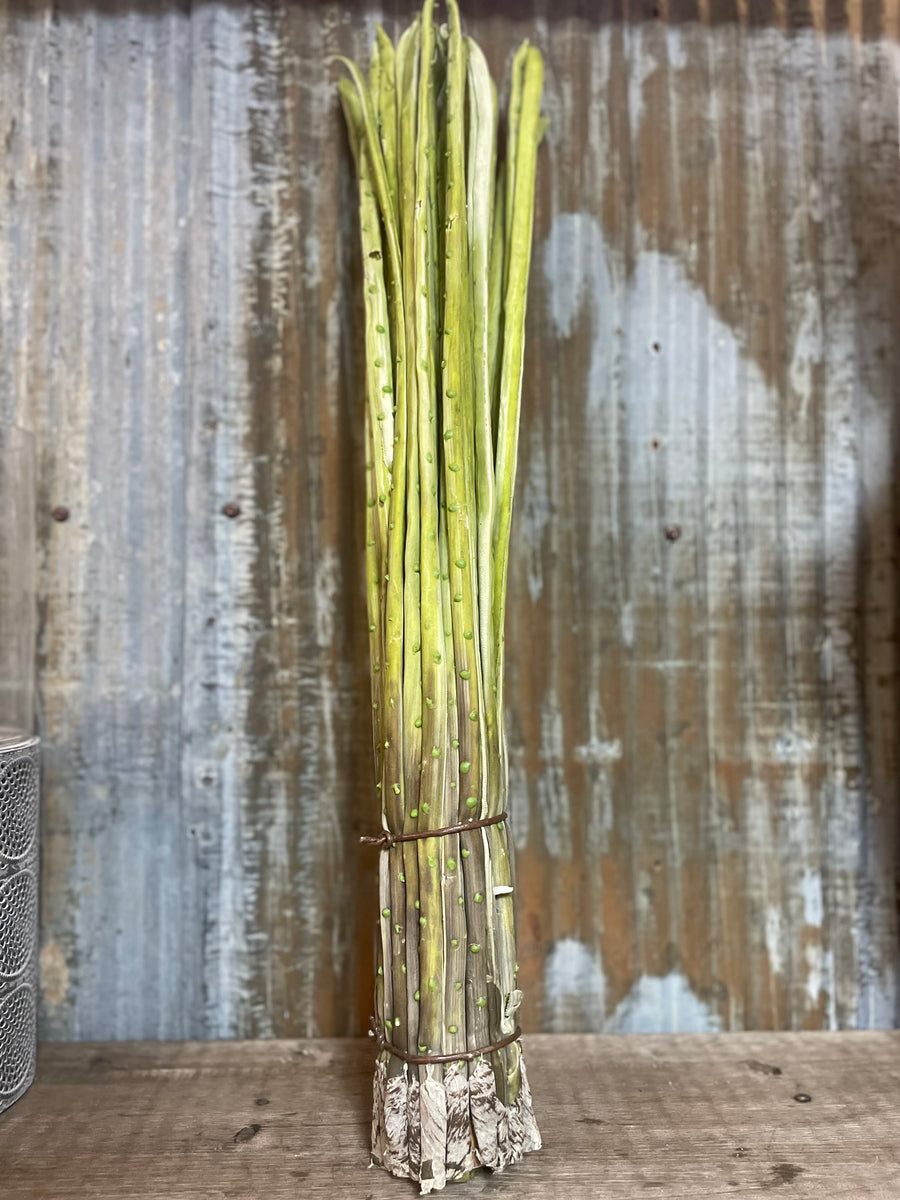 Botanica Reed Stems – Montana Rustic Accents
