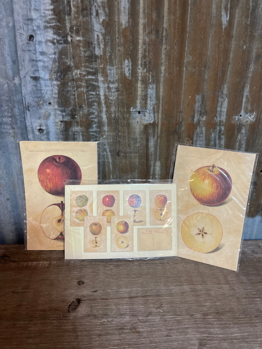 Apple Postcards – Montana Rustic Accents